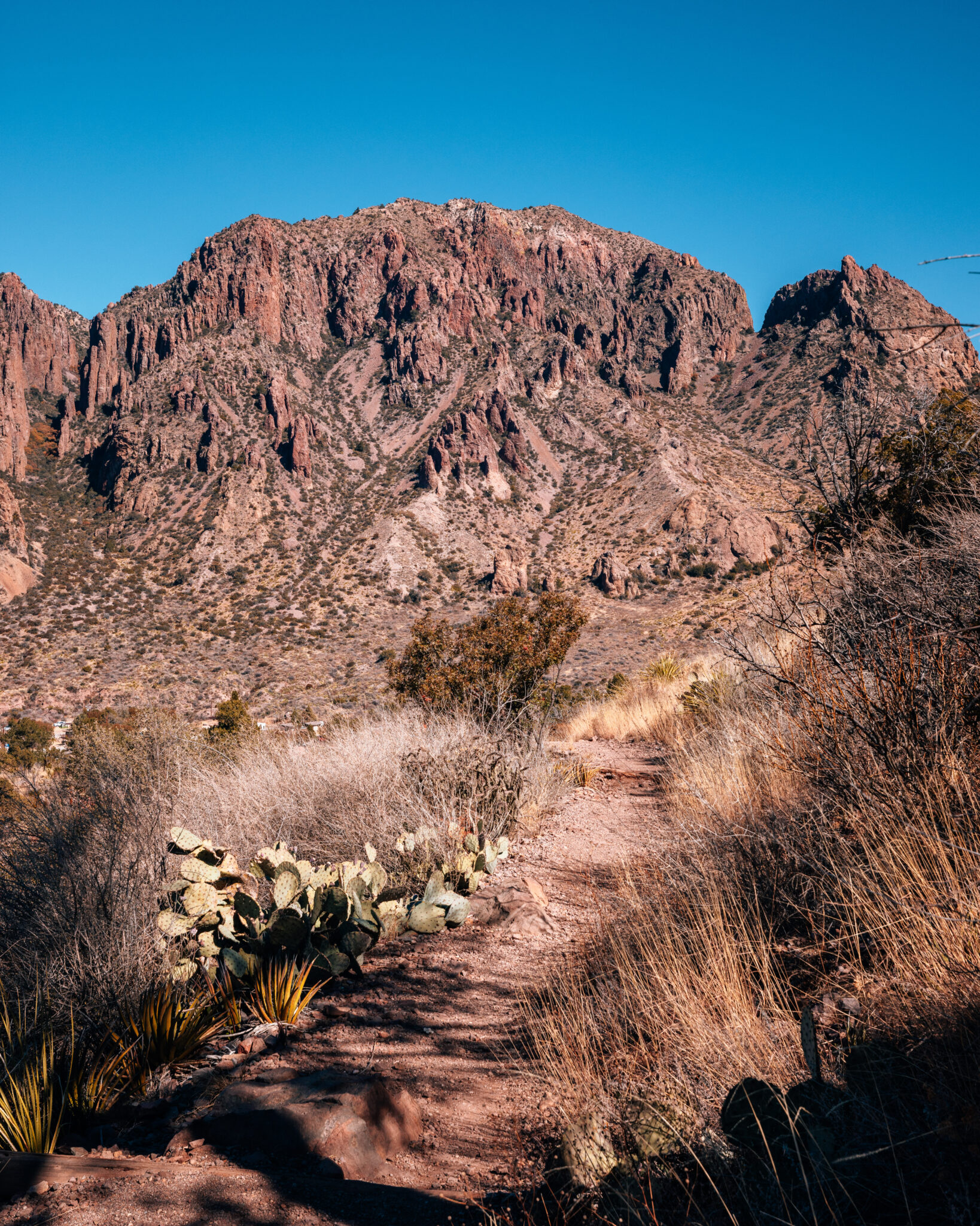 How to Hike the Window Trail in Big Bend National Park (Overview)