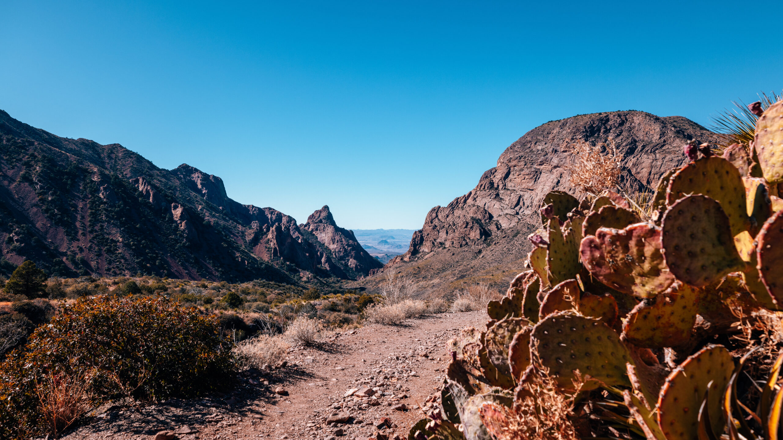 How to Hike the Window Trail in Big Bend National Park (Overview)